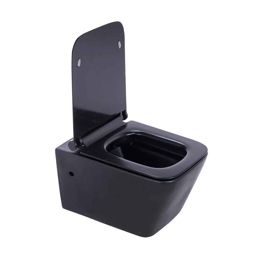 Divariçi asma unitazları - master.az-da bir kliklə əldə edin!